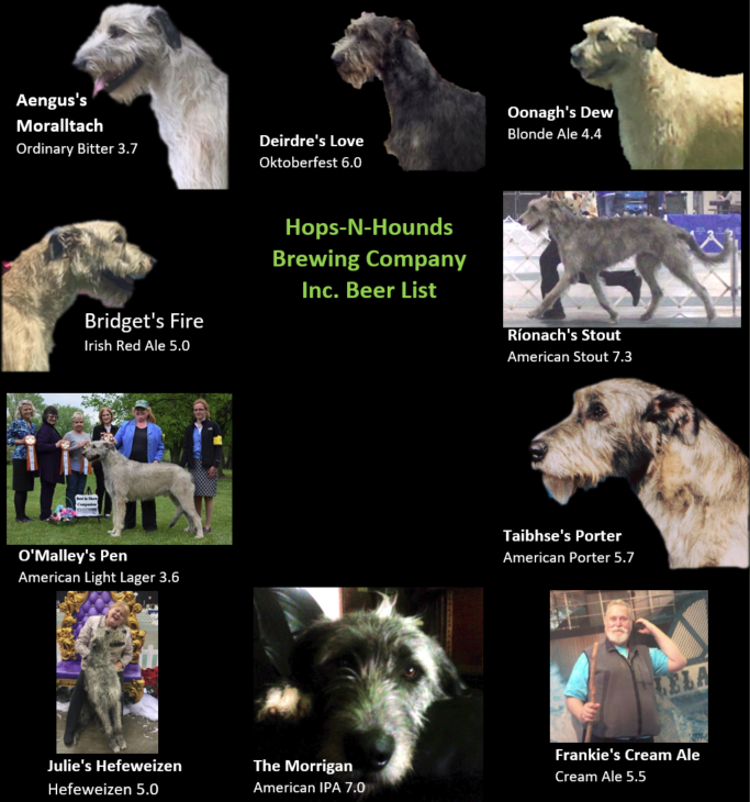Our Beer – Hops-N-Hounds Brewing, Inc.